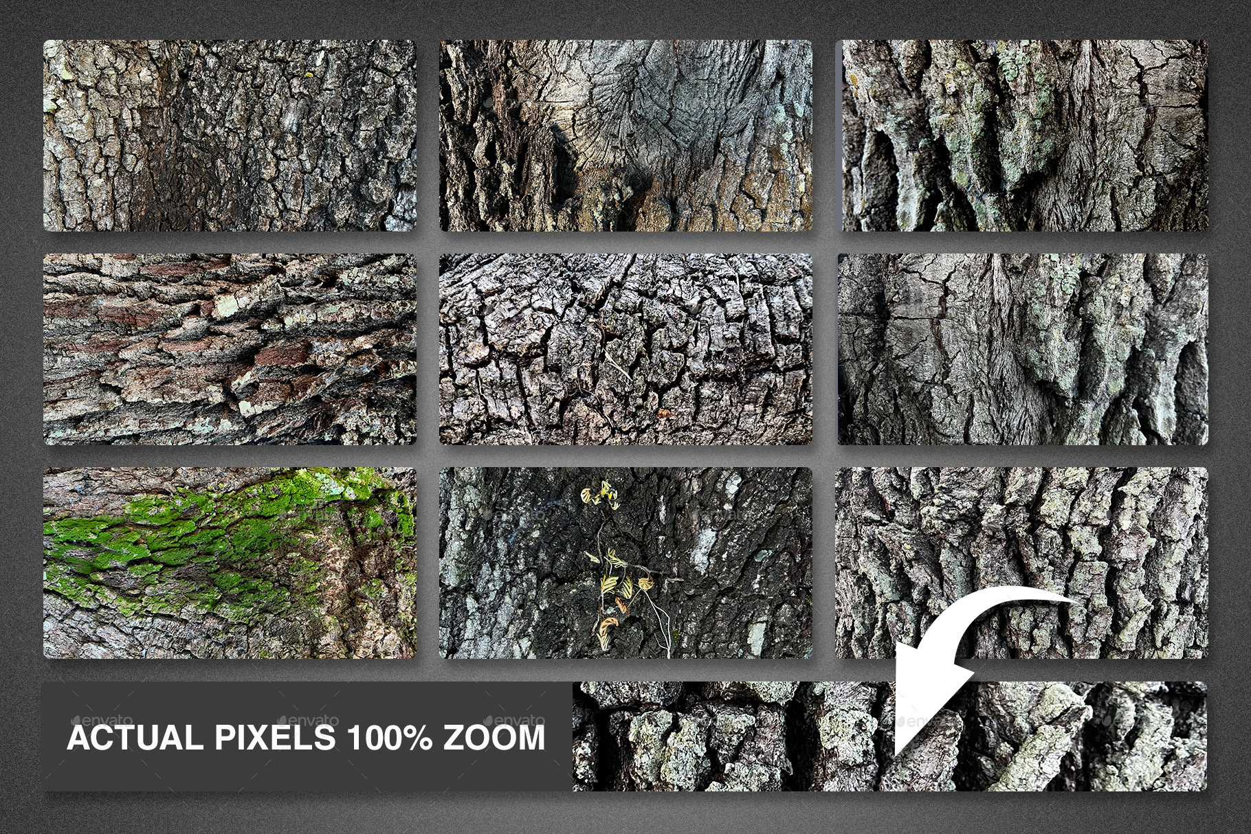 Oak Tree Bark Texture Pack, Textures | GraphicRiver